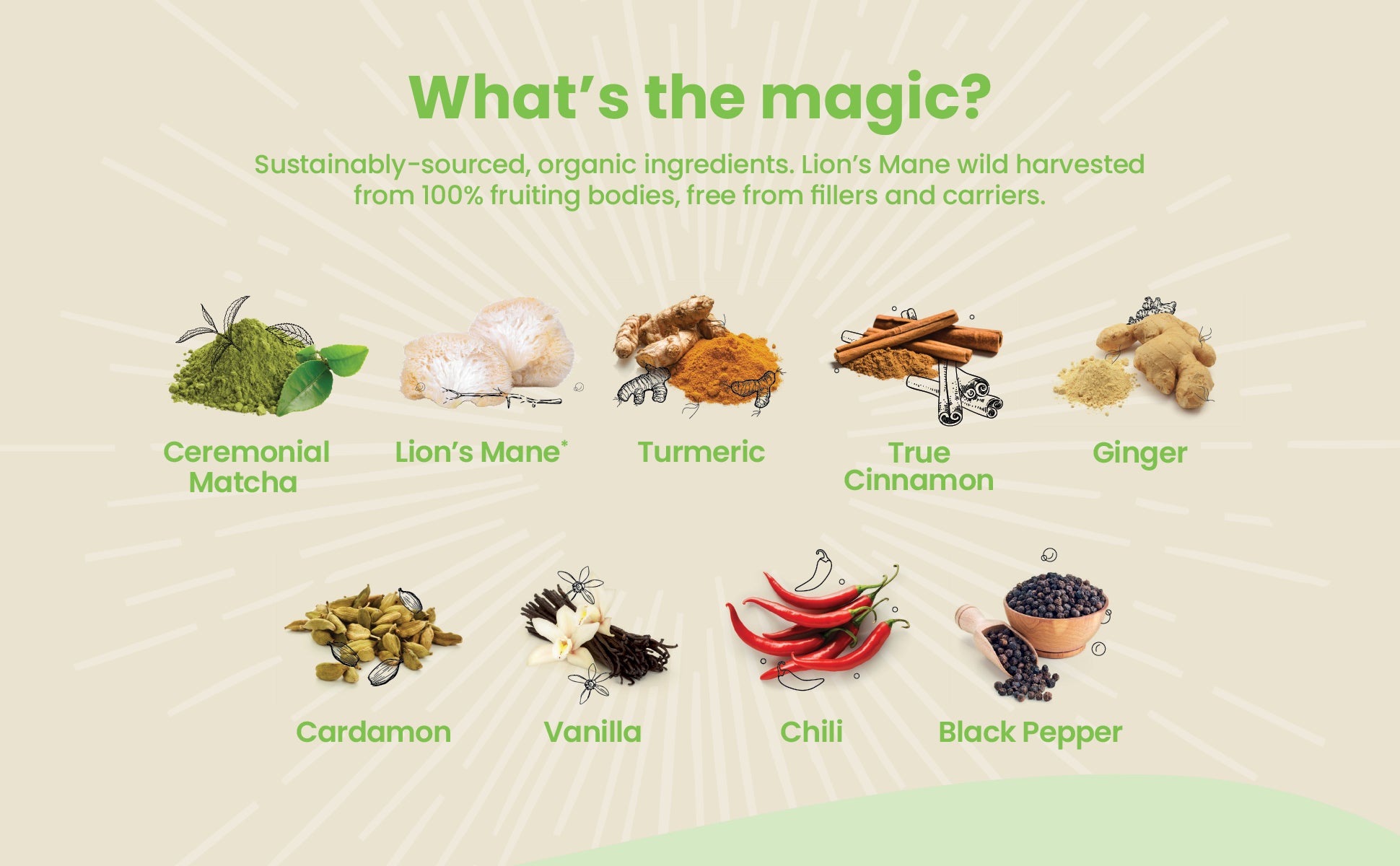 MATCHA MAGIC MIX – Nature's Harvest Australia