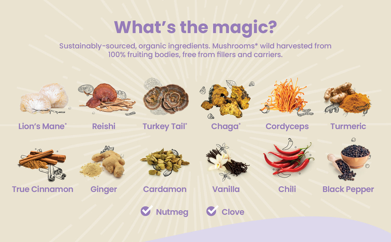 SHROOM MAGIC MIX – Nature's Harvest Australia